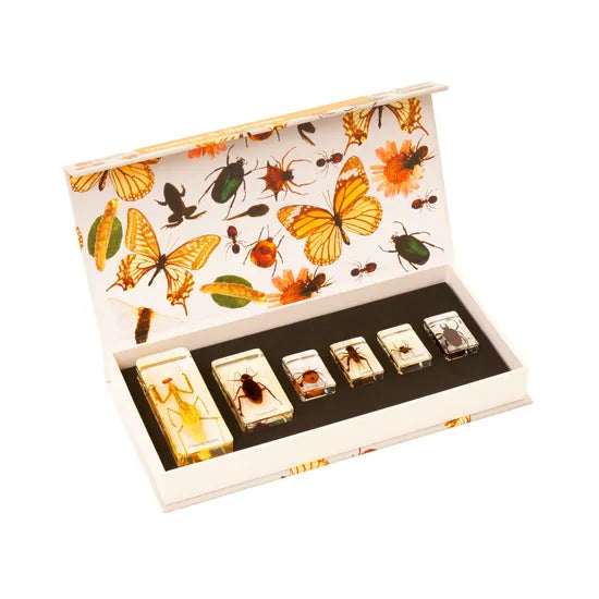 Mini Beasts Insects and Spiders - Large Set | Modern Teaching Aids NZ