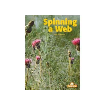 Spinning A Web Big Book | Modern Teaching Aids NZ