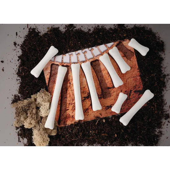 Dinosaur Bones Match and Measure Set - Counting & Measuring