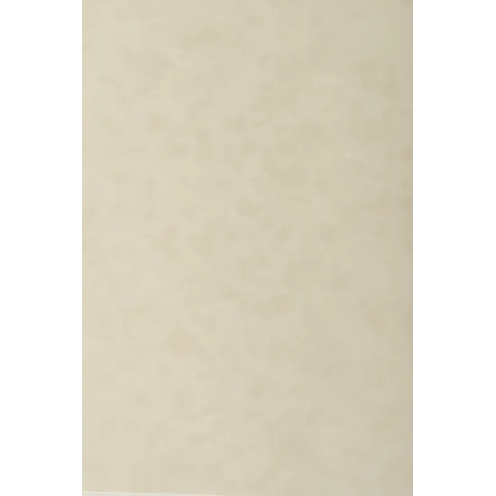 Natural Parchment Paper A4 180 gsm - Pack of 50
