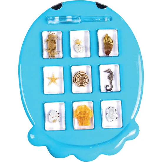 OCEAN FUN | Modern Teaching Aids NZ